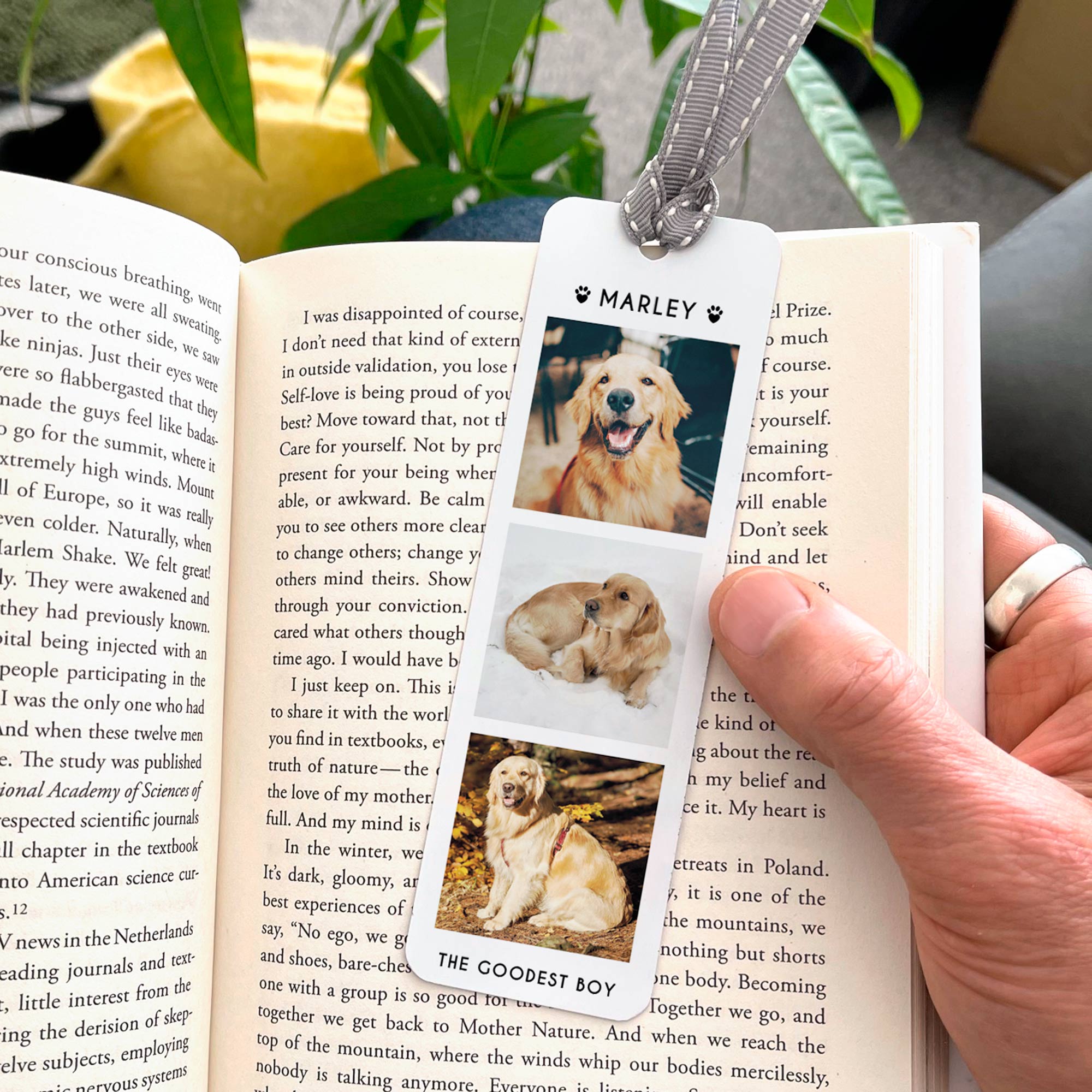 Personalised Pet Dog Photo Bookmark | The Little Picture Company
